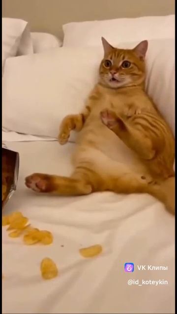 деточка расплакалась