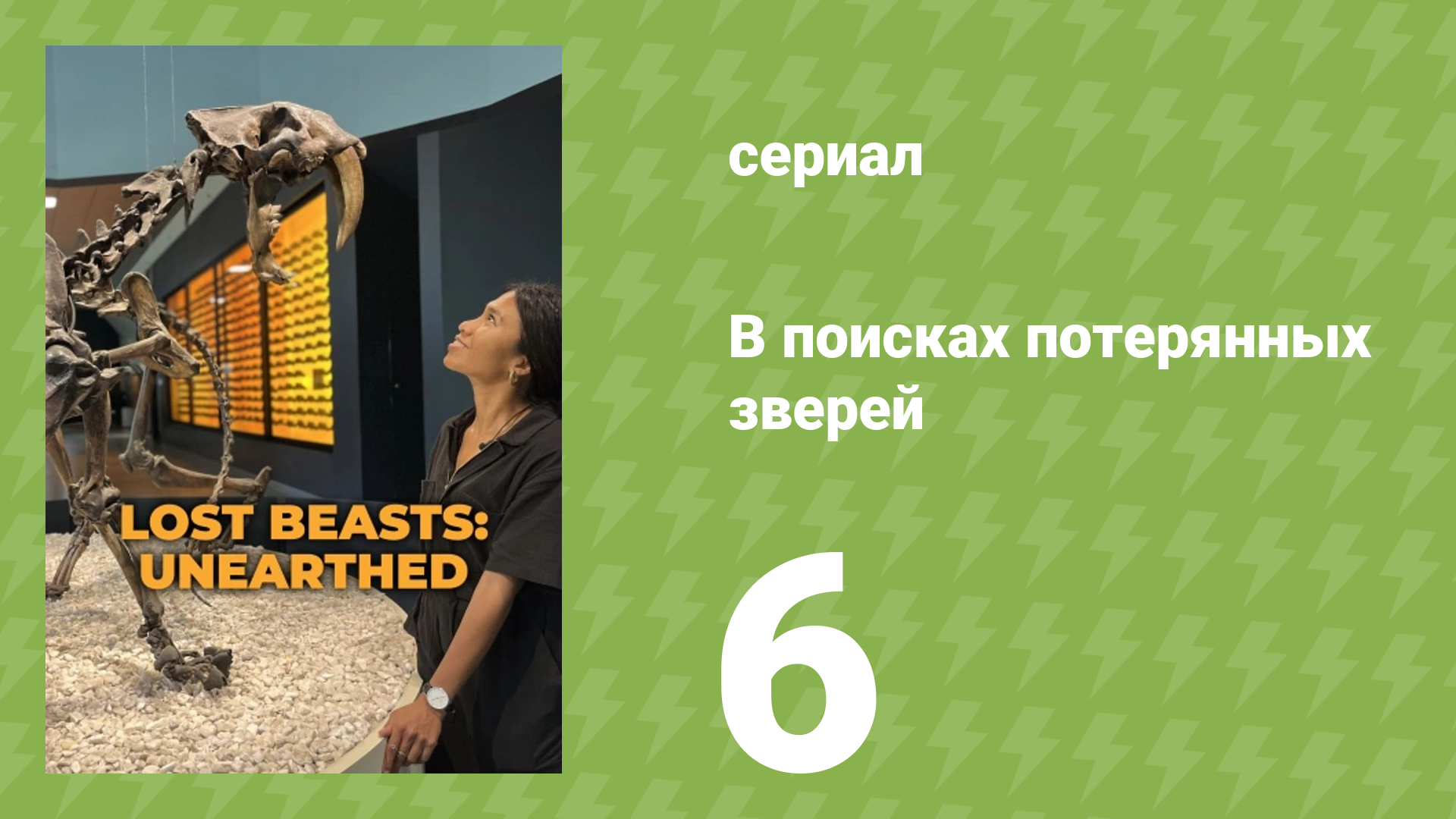 В поисках потерянных зверей 1 сезон 6 серия (документальный сериал, 2023)