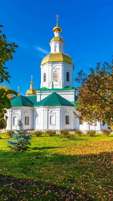 Душевный лекарь#Церковь#shortvideo#shorts#Молитва#Православие