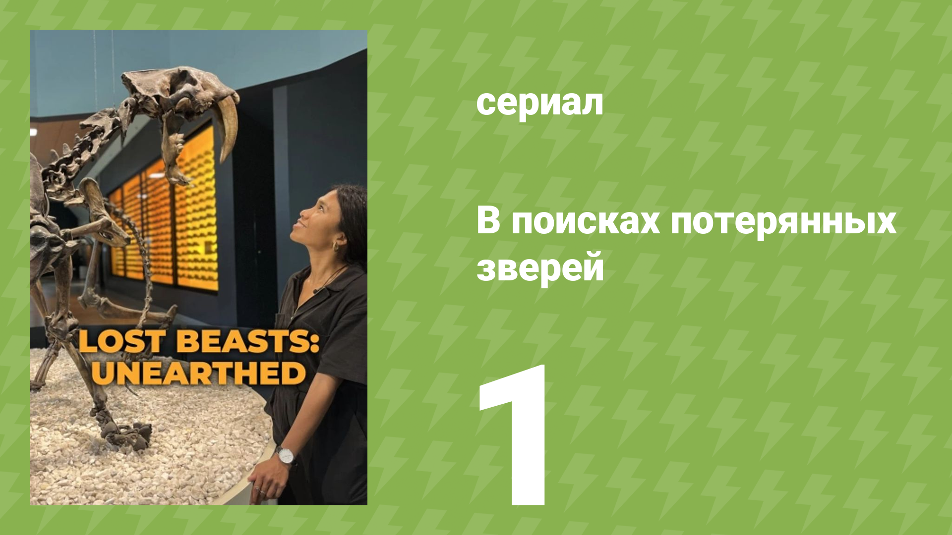 В поисках потерянных зверей 1 сезон 1 серия (документальный сериал, 2023)