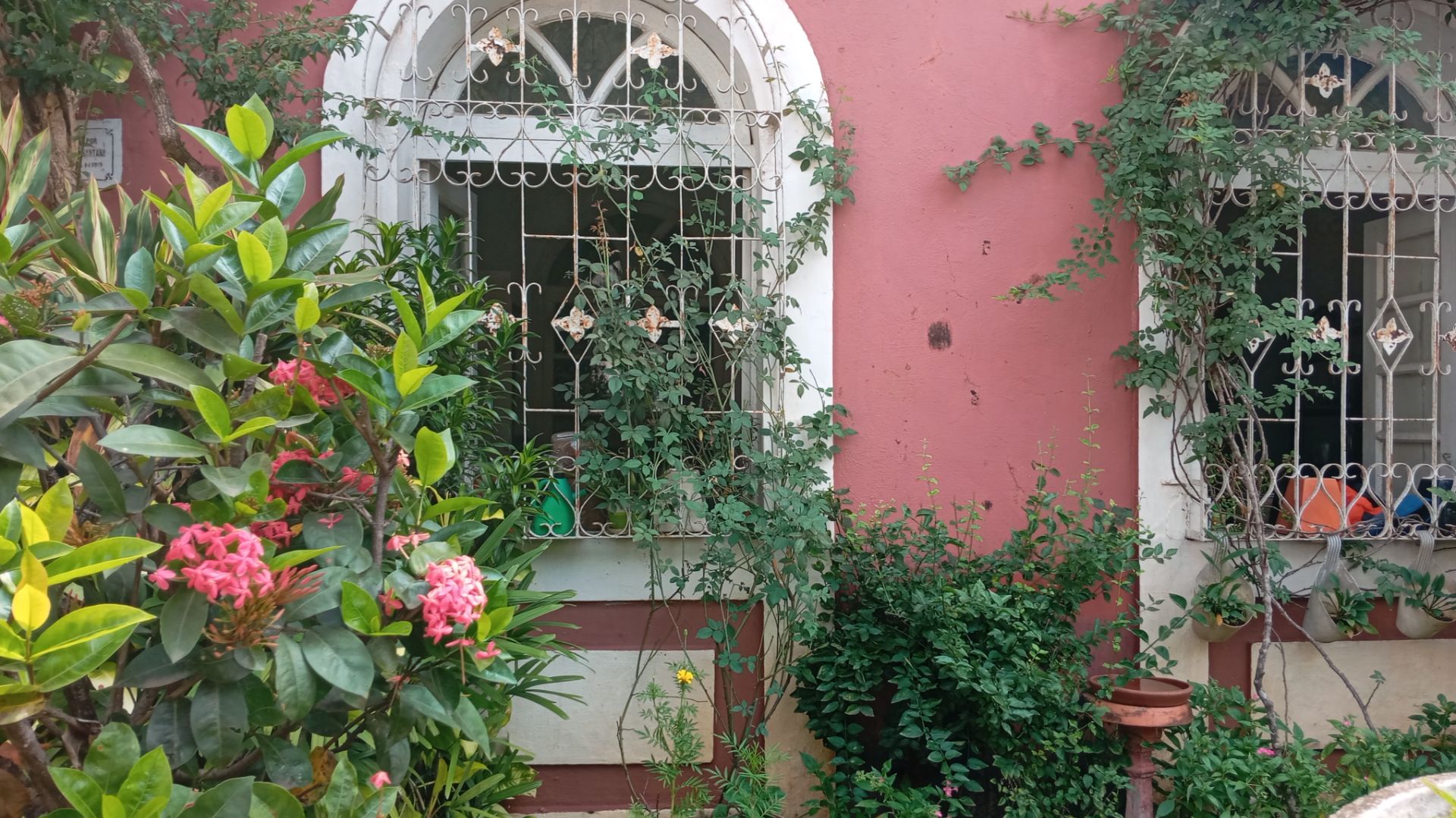 Индия,Португальский район,Старый Гоа!