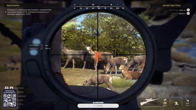 Way of the Hunter | Белохвостый олень