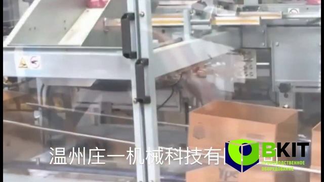 Автомат-картонатор (кейспакер) укладки дой-паков послойно группами по 4шт