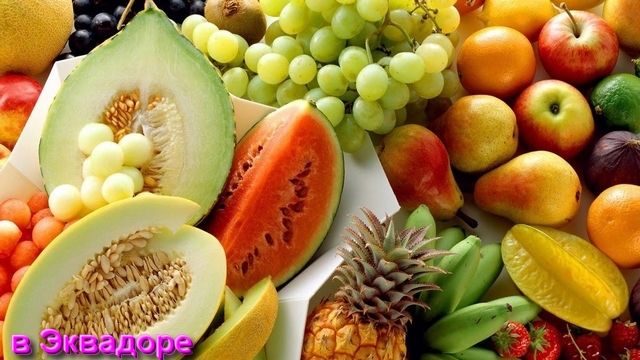 Роль кишечника в сохранении вечной молодости