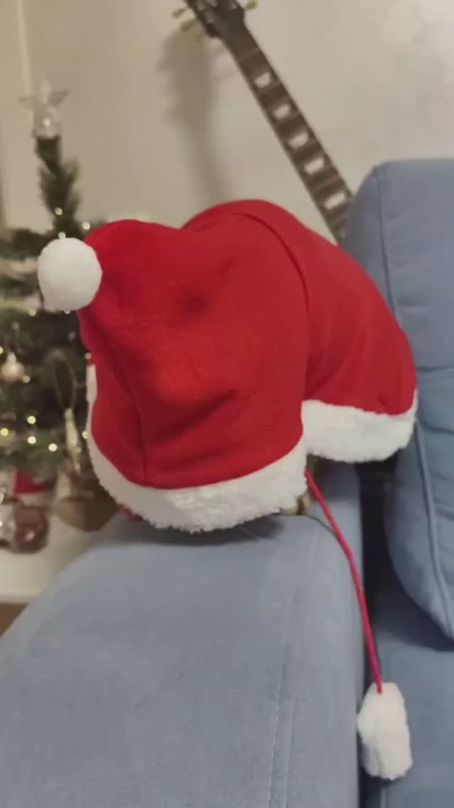 МАСКА, МАСКА, Я ТЕБЯ ЗНАЮ?