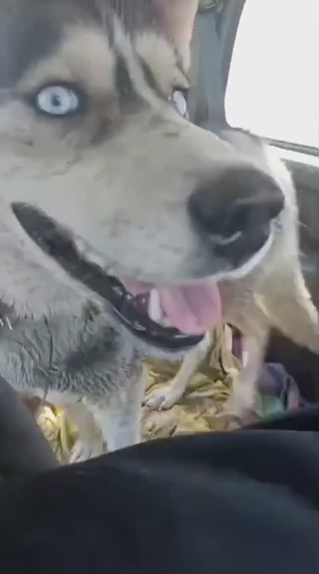 Открытие купального сезона