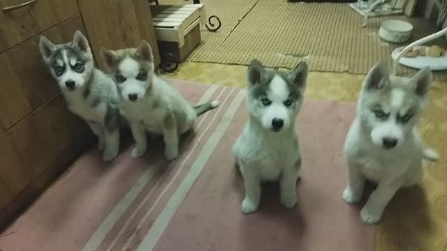 Кто не наелся, идите можно