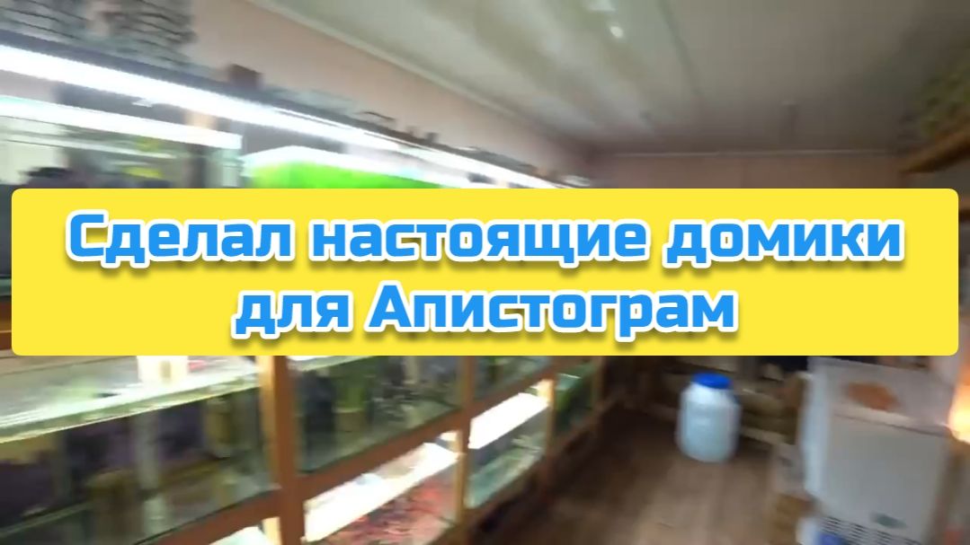 Сделал настоящие домики для Апистограм