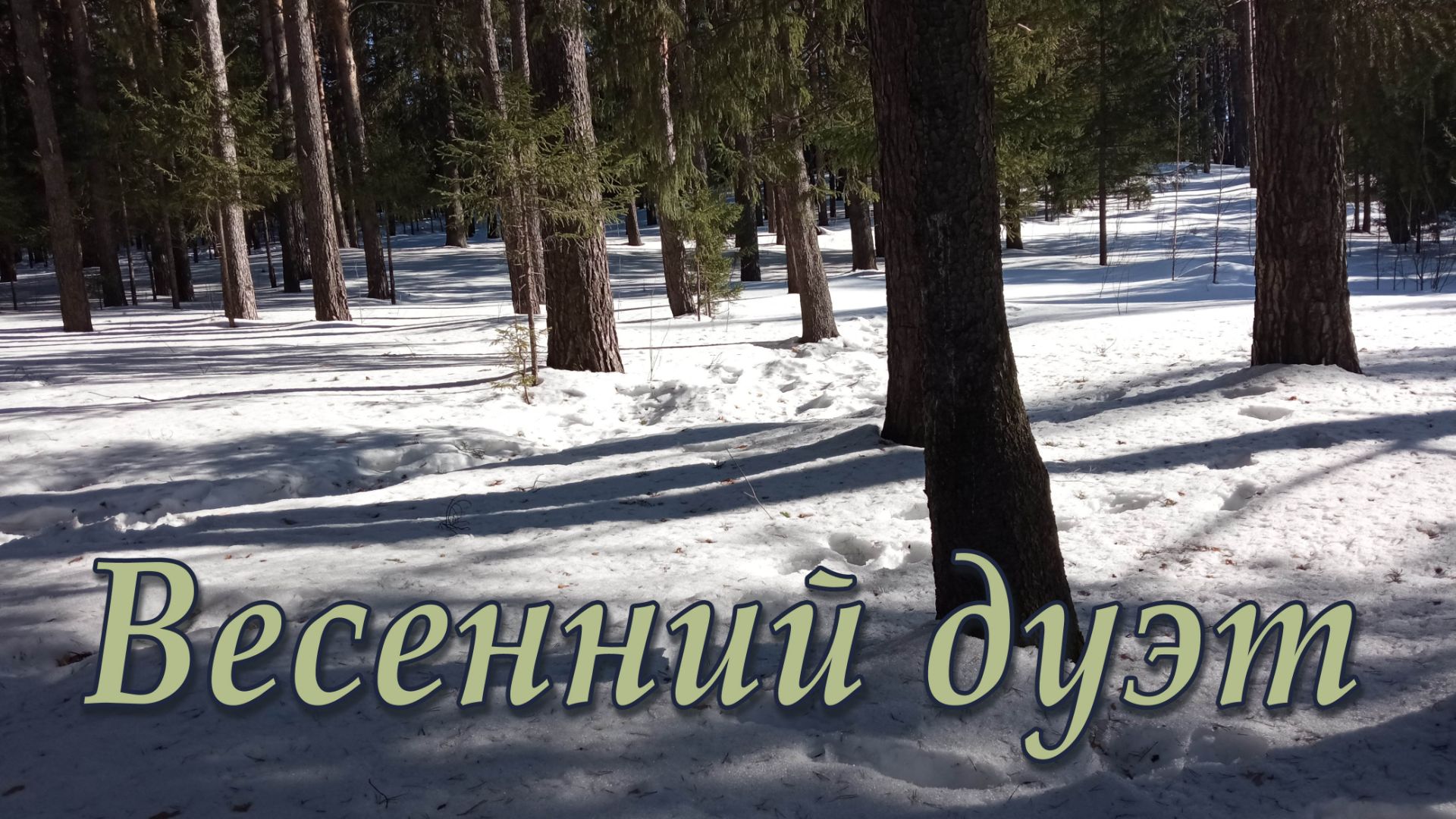 «Весенний дуэт: город и лес»