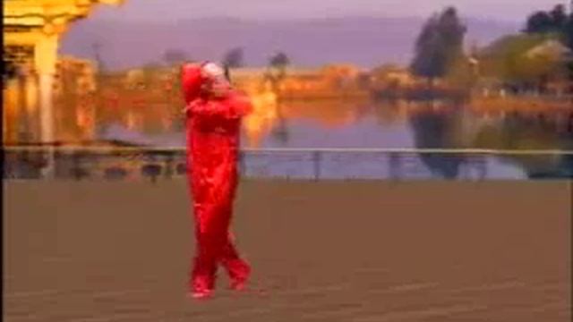 Веер Чень Шень Чжи