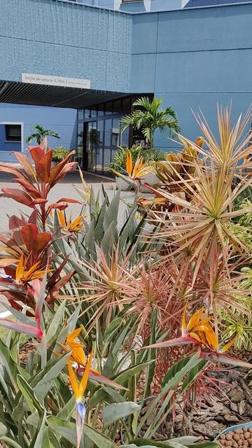 отель в Бразилии