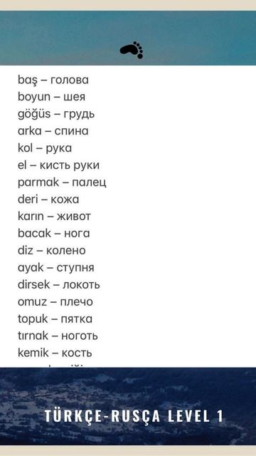 Что вам следует знать о турецком языке Турецкий Русский #shorts #ruscadersleri #русский #турецкий