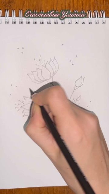 Как нарисовать цветы карандашами. Простой рисунок карандашом.