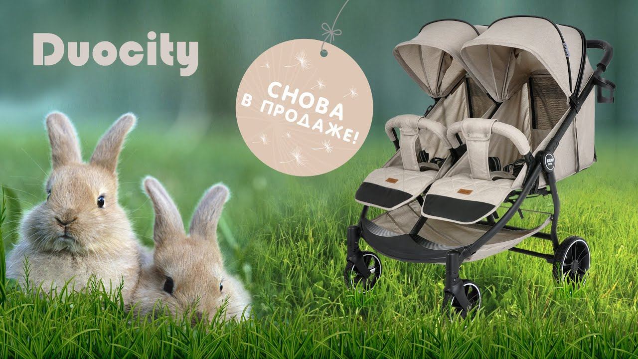 Коляска для двойни Pituso Duocity