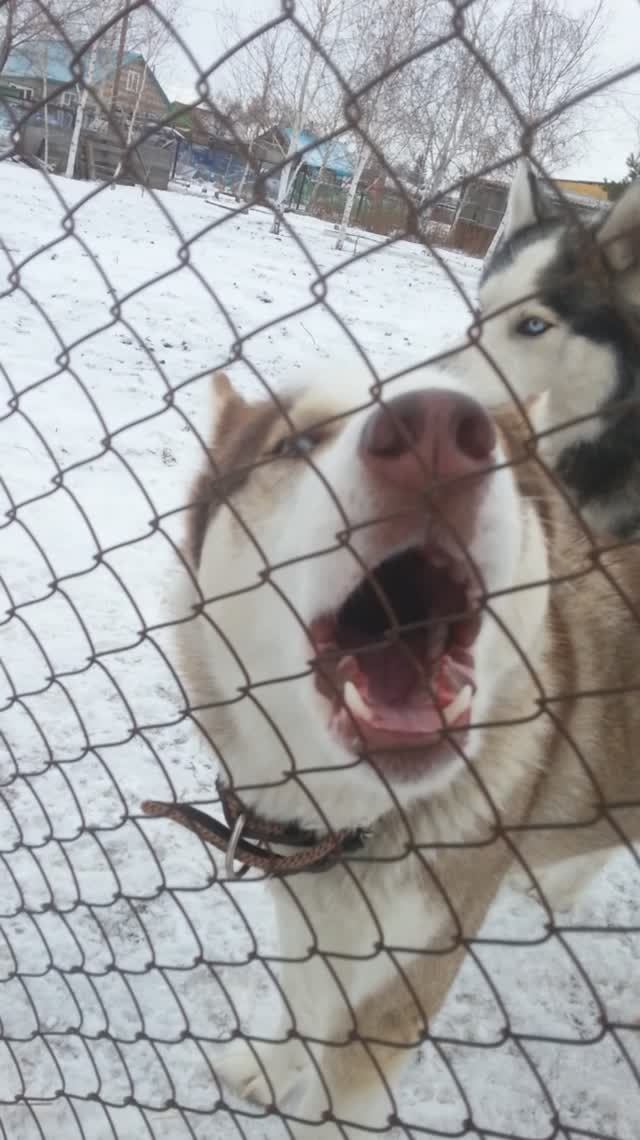 Всё, тихонько..., не ругаемся