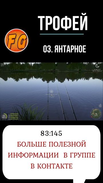 ТРОФЕЙНЫЙ КАРП. оз. ЯНТАРНОЕ. Русская рыбалка 4. рр4