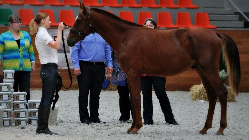 Работа на свободе с Главным Героем