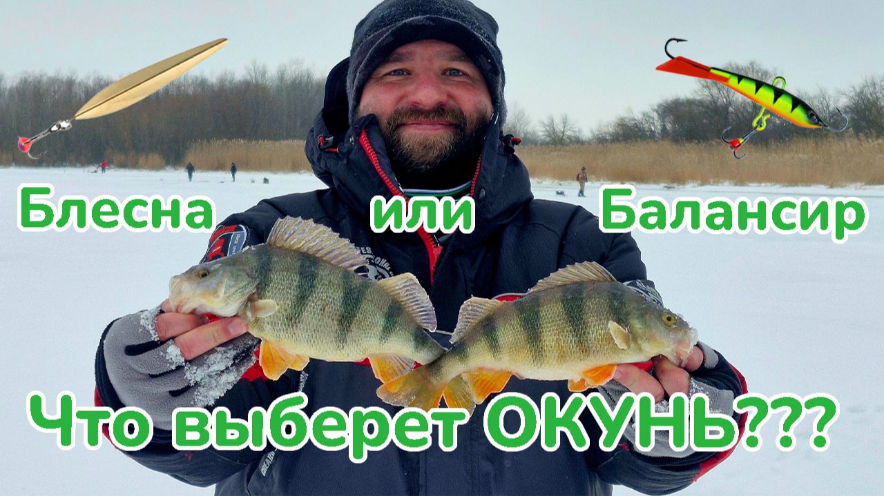 Что выберет окунь: Балансир или Блесну? / Блесна против Балансира / Ловля окуня со льда / Фишмир