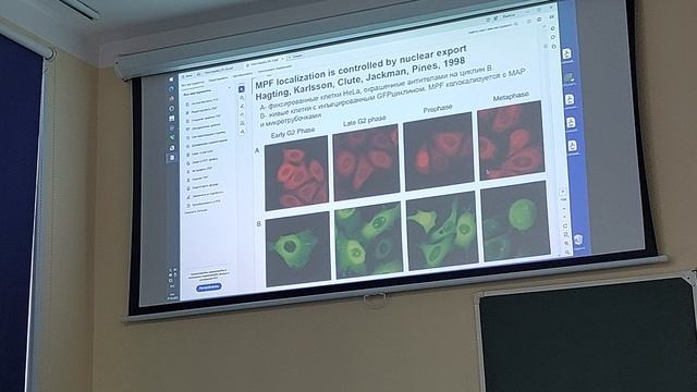 Лекция за 17.10 (3)