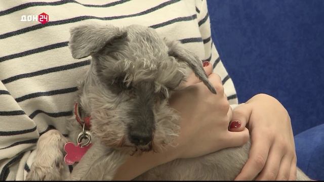 Станица-на-Дону 14.02.2026