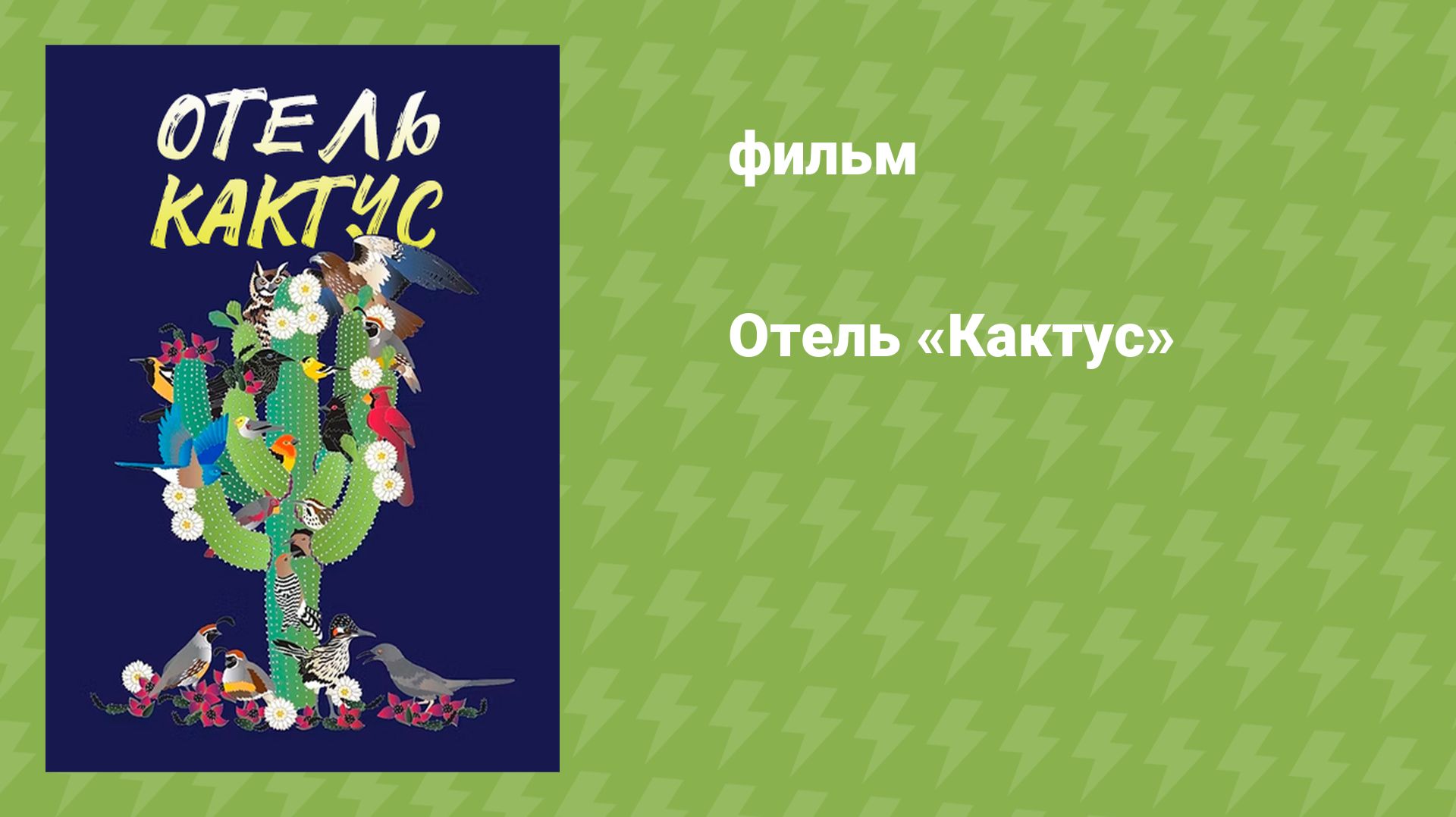 Отель «Кактус» (документальный фильм, 2023)