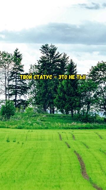 Твой статус - это не ты!