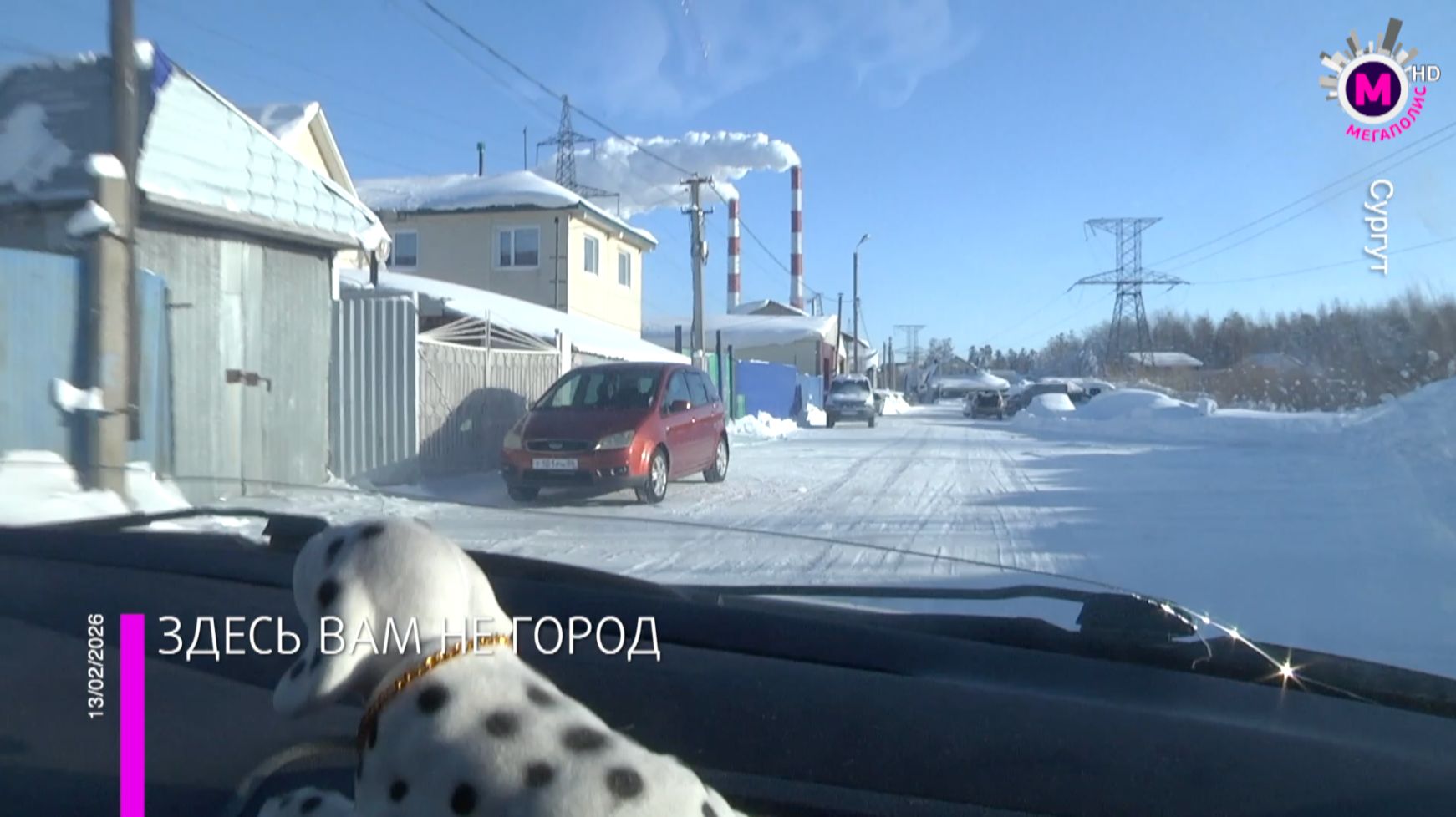 Один день из жизни председателя дачного кооператива