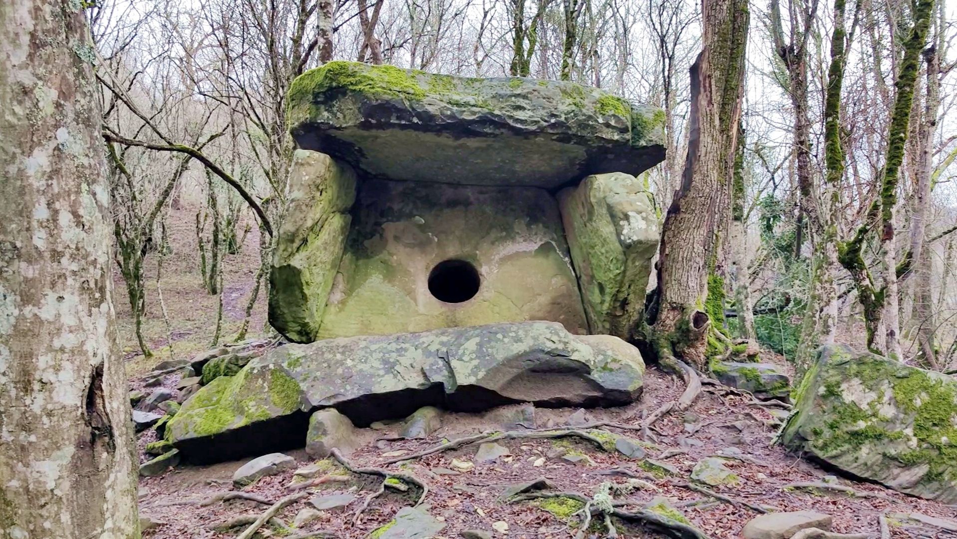 Видео 112 - Дольмены левого берега реки Пшада (короткий вариант 2)