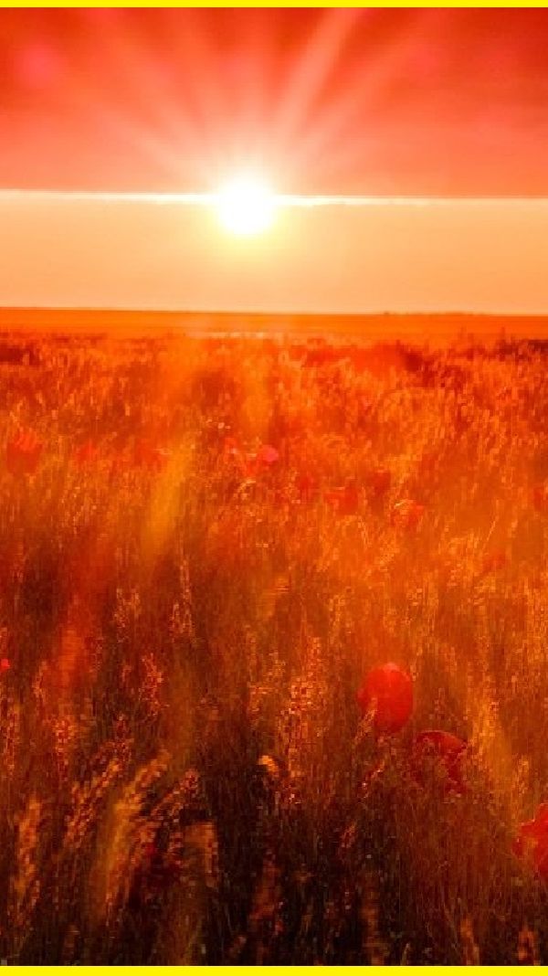 ИДИТЕ НАВСТРЕЧУ НОВОМУ ДНЮ