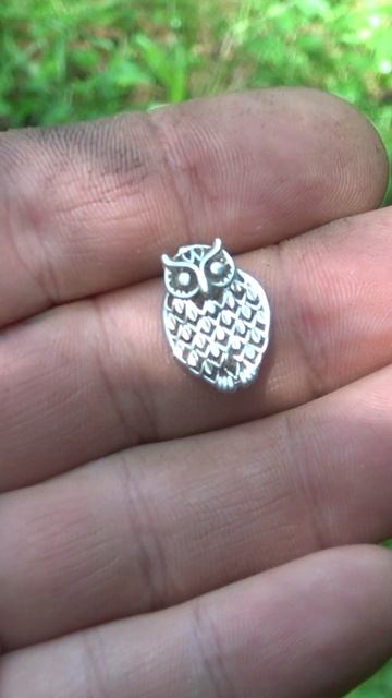 Мы нашли сову #shorts #надороге #серебро #находки  #metaldetecting