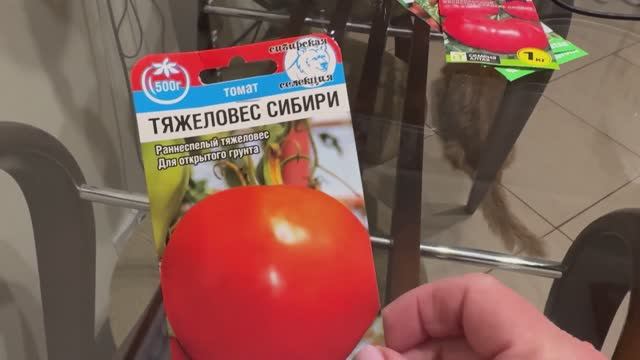 Сею томаты для раннего урожая. Мой выбор сортов