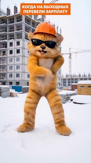 Кот строитель танцует