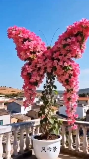 Красивая песня и красивые цветы