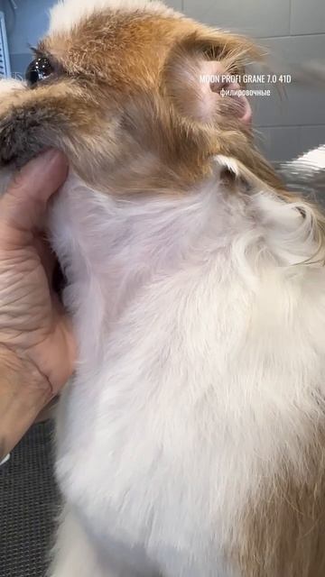 Стрижка ножницами MOON от Елены Ривво