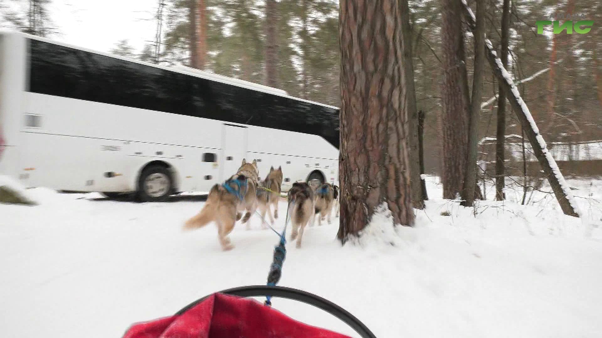 "Деревня ездовых собак" / "Компас-ГИС. Туризм без багажа" от 13.02.2026