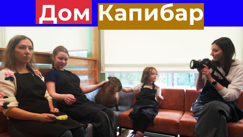 В гостях в Доме Капибар