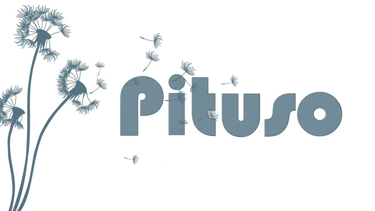 Стул для кормления Pituso Compatto