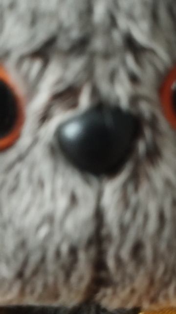 ПУШИСТЫЙ КОШАРИК БАСИК!