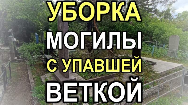 551M - Уборка могилы с обрезкой упавшей ветки, Кривой Рог