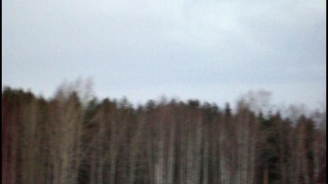 Дисколёт с Приветом ,летит Никита Державенский.