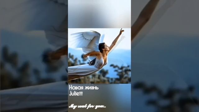 Новая жизнь