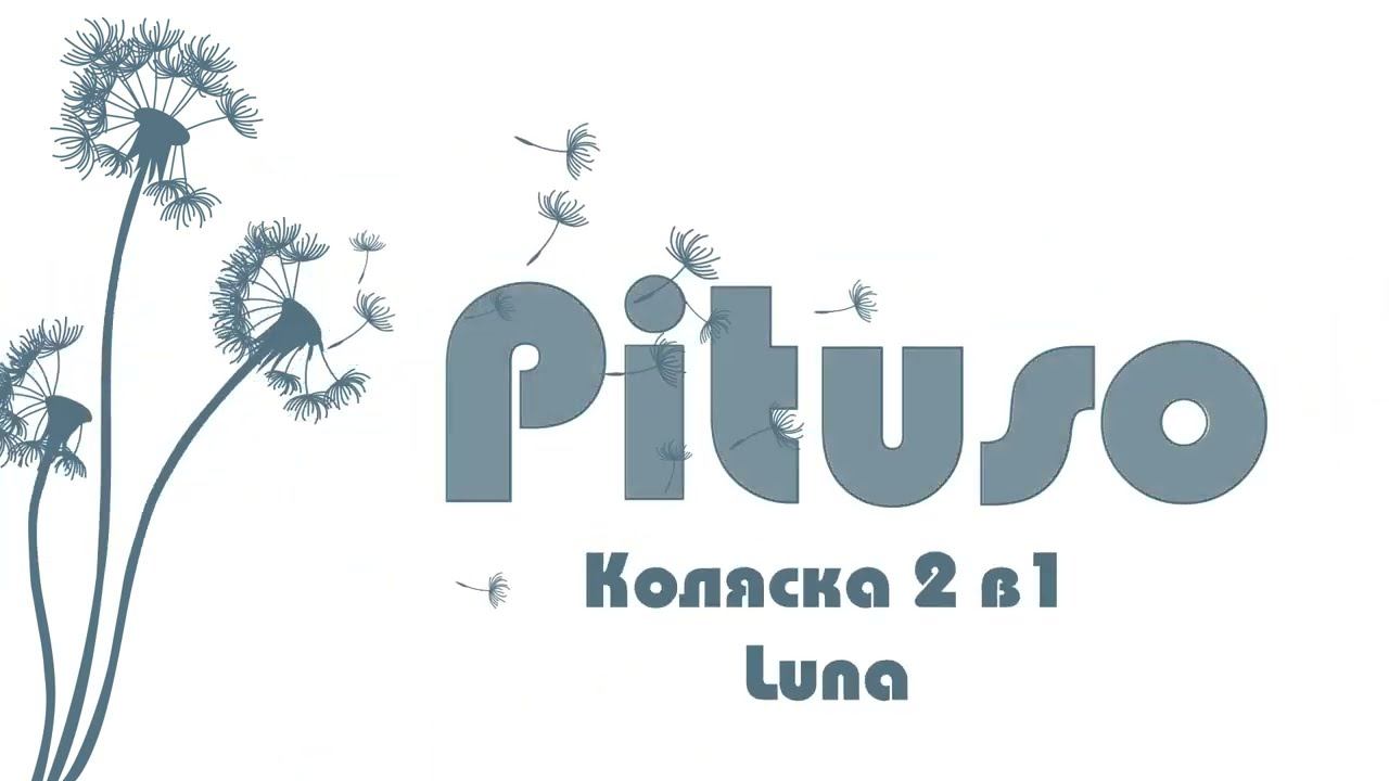 Коляска 2 в 1 Pituso luna