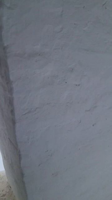 Поднялись на стену Свято-троицкого Ипатьевского монастыря