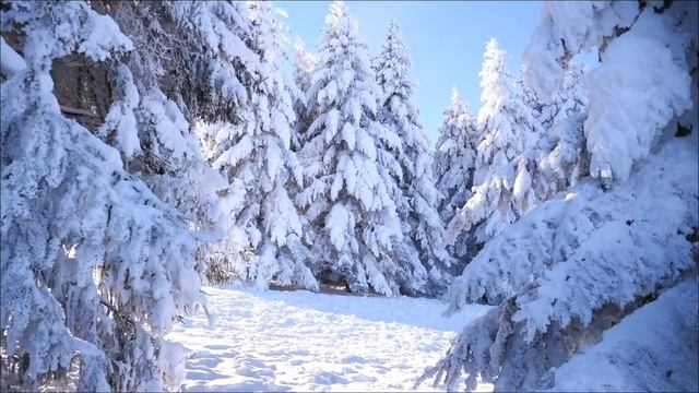 Почему 13 февраля - Решит вашу судьбу.