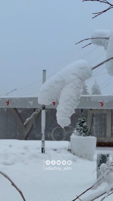 ❄️ Зима ❄️ #зима2026_укаждогосвоя #городУдачный #полнаясовместимость