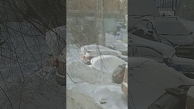 №1293 Двор П. Осипенко 48. 12 января 2026 г., 14:45:18 VID_20260112_144139040