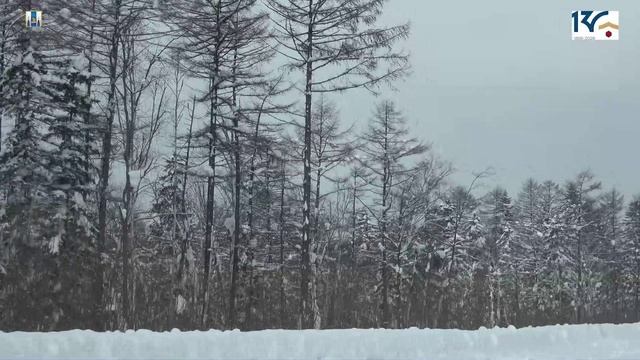 Сказка «Белка и заяц»