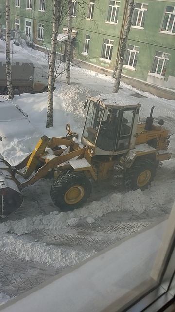 №1291 Двор П. Осипенко 48. 12 января 2026 г., 13:31:01 VID_20260112_132926285