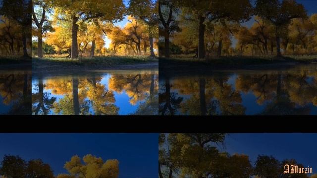 Vasim - Time Not Wait