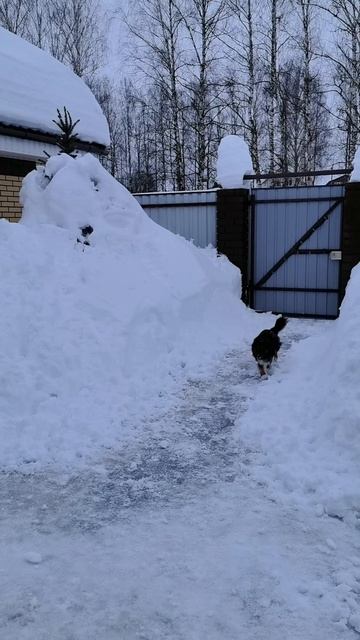 Джек жжёт 🤣🤣🤣😉